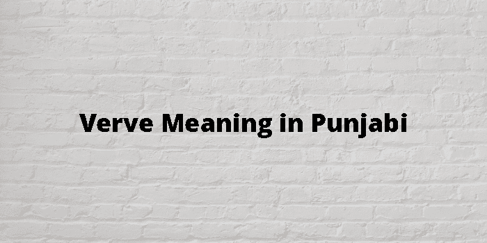 Verve Meaning In Punjabi - ਪੰਜਾਬੀ ਦਾ ਮਤਲਬ