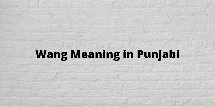 Wang Meaning In Punjabi - ਪੰਜਾਬੀ ਦਾ ਮਤਲਬ