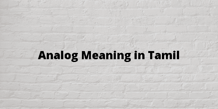 Analog Meaning In Tamil - தமிழ் அர்த்தம்
