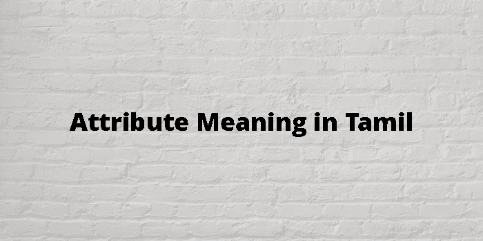 Attribute Meaning In Tamil - தமிழ் அர்த்தம்