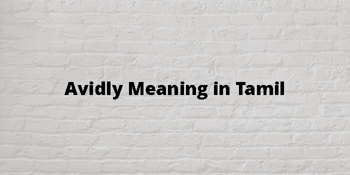 Avidly Meaning In Tamil - தமிழ் அர்த்தம்