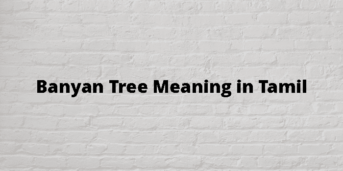 Banyan Tree Meaning In Tamil - தமிழ் அர்த்தம்