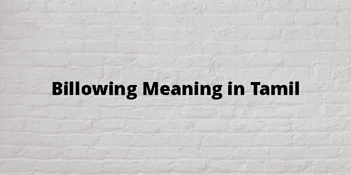 Billowing Meaning In Tamil - தமிழ் அர்த்தம்