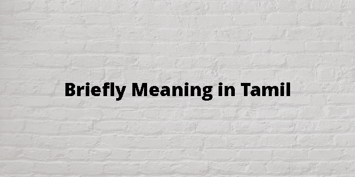 Briefly Meaning In Tamil - தமிழ் அர்த்தம்