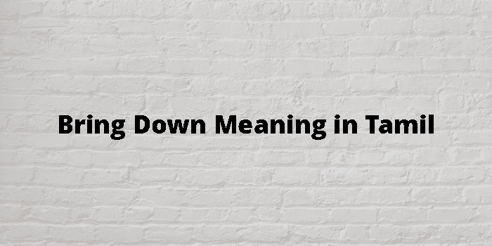 Bring Down Meaning In Tamil - தமிழ் அர்த்தம்