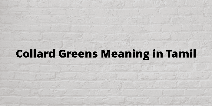 Collard Greens Meaning In Tamil - தமிழ் அர்த்தம்