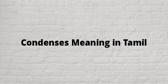 Condenses Meaning In Tamil - தமிழ் அர்த்தம்