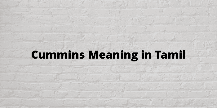 Cummins Meaning In Tamil - தமிழ் அர்த்தம்