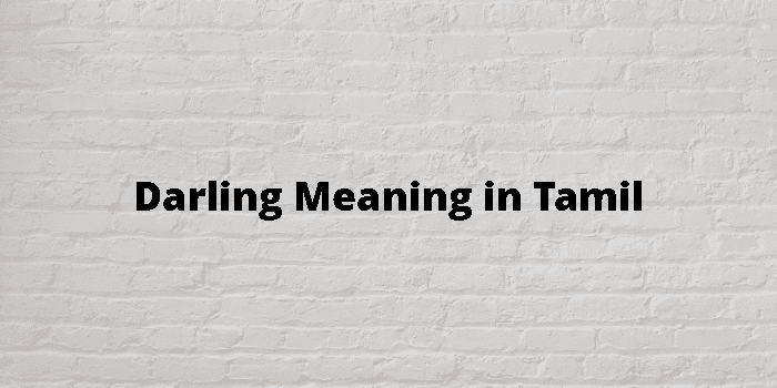 Darling Meaning In Tamil - தமிழ் அர்த்தம்