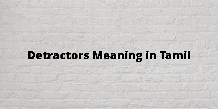 Detractors Meaning In Tamil - தமிழ் அர்த்தம்