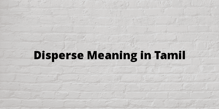Disperse Meaning In Tamil - தமிழ் அர்த்தம்