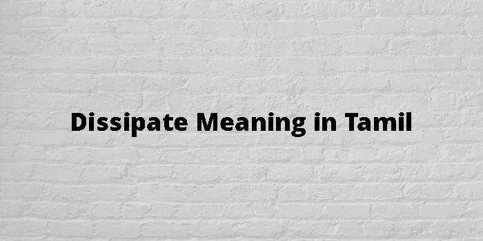 Dissipate Meaning In Tamil - தமிழ் அர்த்தம்