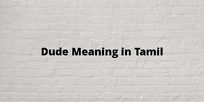 Dude Meaning In Tamil - தமிழ் அர்த்தம்