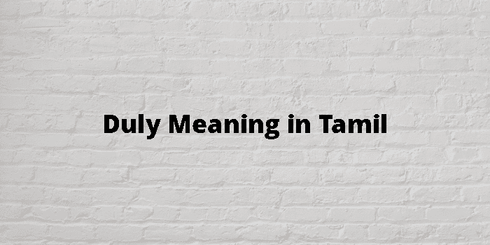 Duly Meaning In Tamil - தமிழ் அர்த்தம்