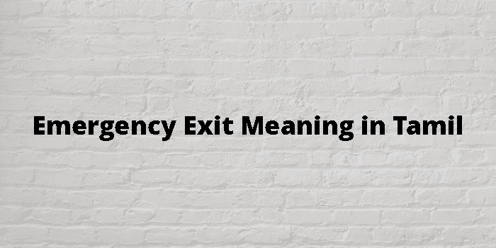 Emergency Exit Meaning In Tamil - தமிழ் அர்த்தம்