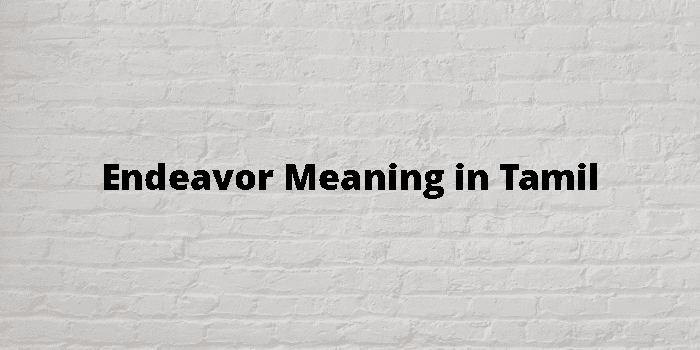 Endeavor Meaning In Tamil - தமிழ் அர்த்தம்