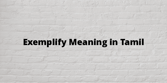 Exemplify Meaning In Tamil - தமிழ் அர்த்தம்