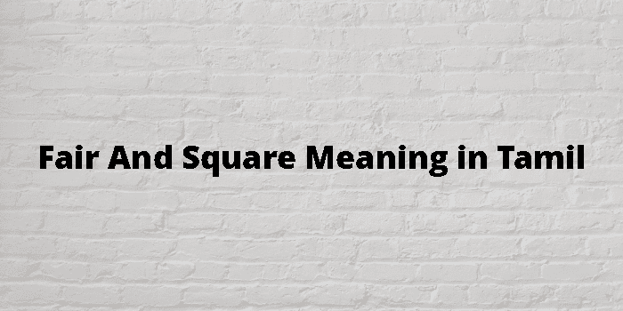 Fair And Square Meaning In Tamil - தமிழ் அர்த்தம்