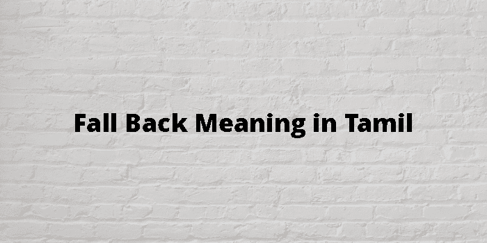 Fall Back Meaning In Tamil - தமிழ் அர்த்தம்