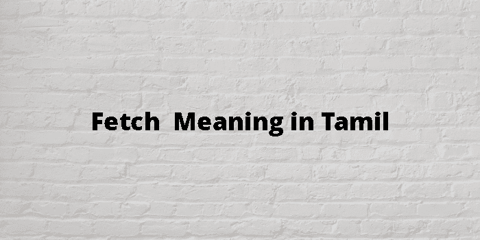 Fetch Meaning In Tamil - தமிழ் அர்த்தம்