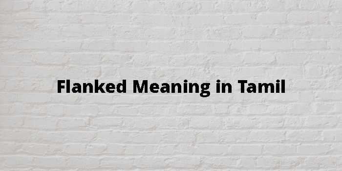 Flanked Meaning In Tamil - தமிழ் அர்த்தம்