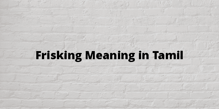 Frisking Meaning In Tamil - தமிழ் அர்த்தம்