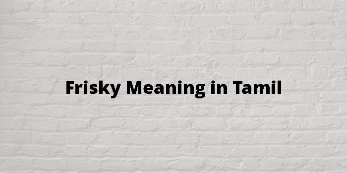 Frisky Meaning In Tamil - தமிழ் அர்த்தம்