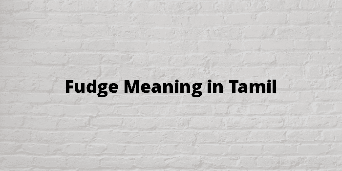 Fudge Meaning In Tamil - தமிழ் அர்த்தம்