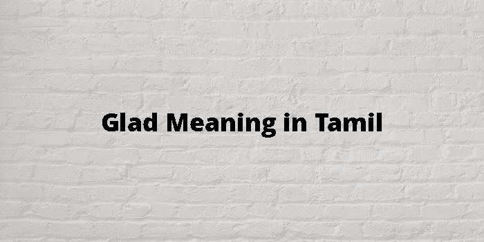 Glad Meaning In Tamil - தமிழ் அர்த்தம்