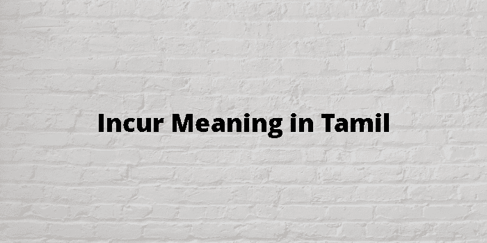 Incur Meaning In Tamil - தமிழ் அர்த்தம்