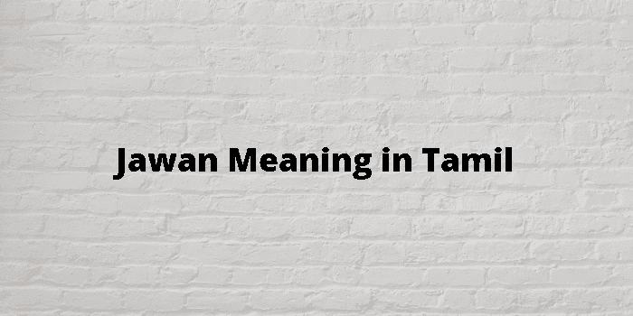 Jawan Meaning In Tamil - தமிழ் அர்த்தம்