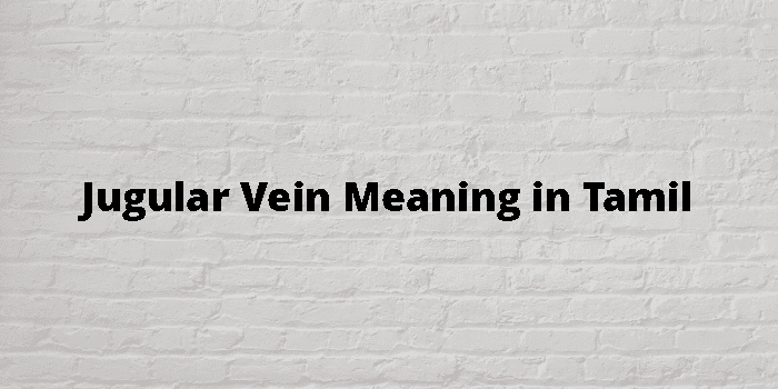 Jugular Vein Meaning In Tamil - தமிழ் அர்த்தம்