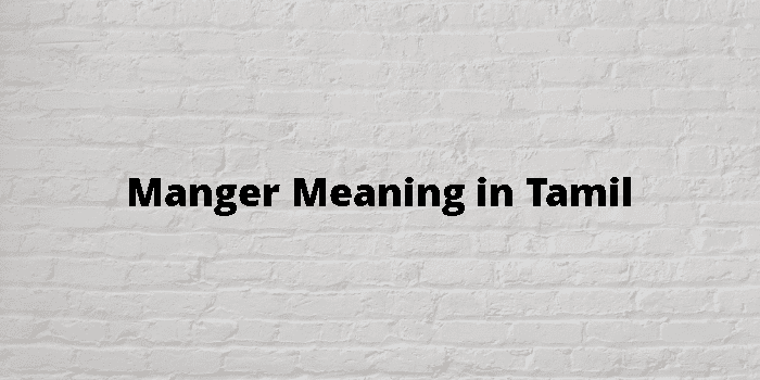 Manger Meaning In Tamil - தமிழ் அர்த்தம்
