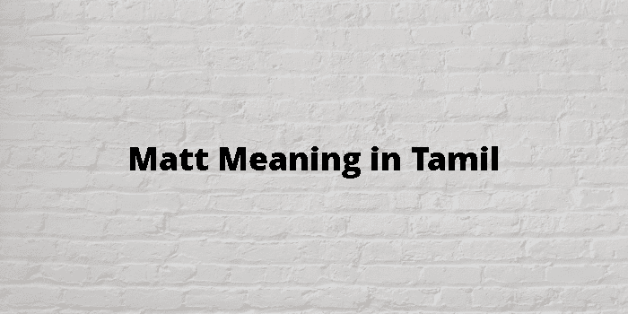 Matt Meaning In Tamil - தமிழ் அர்த்தம்