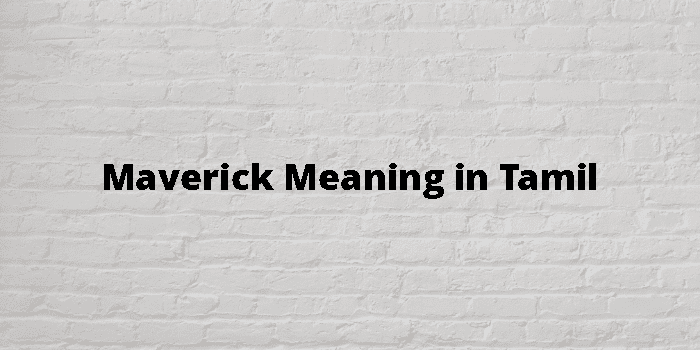 Maverick Meaning In Tamil - தமிழ் அர்த்தம்