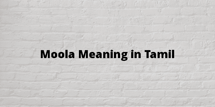 Moola Meaning In Tamil - தமிழ் அர்த்தம்