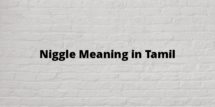 Niggle Meaning In Tamil - தமிழ் அர்த்தம்