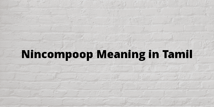 Nincompoop Meaning In Tamil - தமிழ் அர்த்தம்