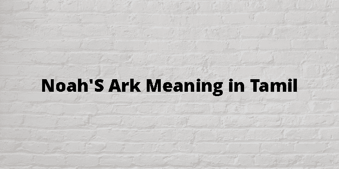 Noah's Ark Meaning In Tamil - தமிழ் அர்த்தம்