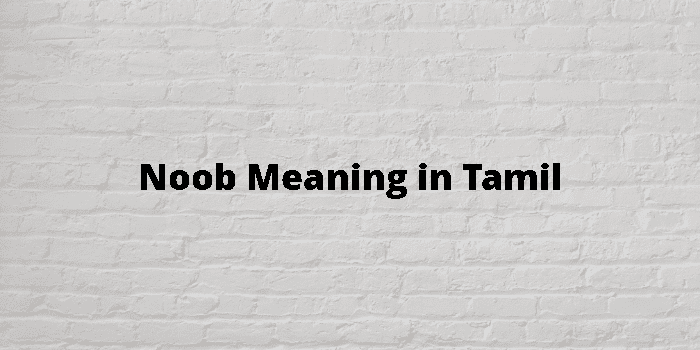 Noob Meaning In Tamil - தமிழ் அர்த்தம்