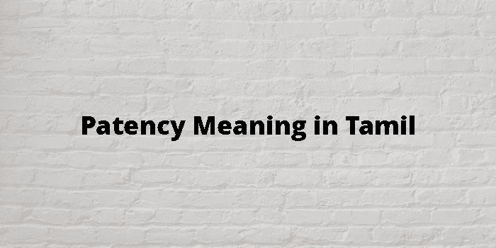 Patency Meaning In Tamil - தமிழ் அர்த்தம்
