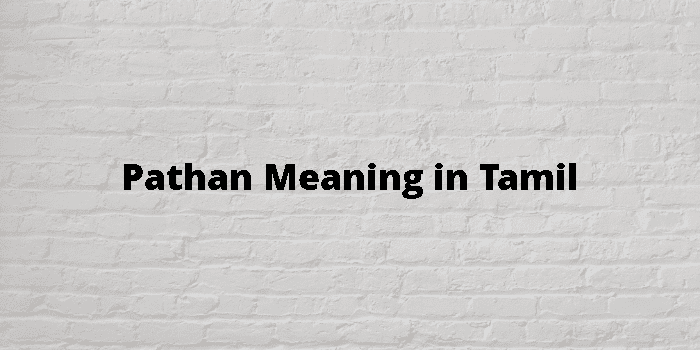 Pathan Meaning In Tamil - தமிழ் அர்த்தம்