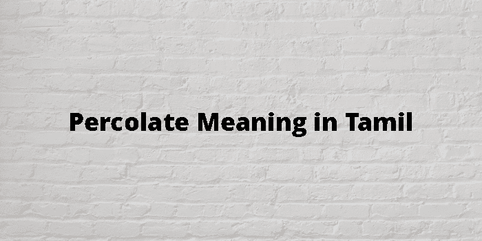 Percolate Meaning In Tamil - தமிழ் அர்த்தம்