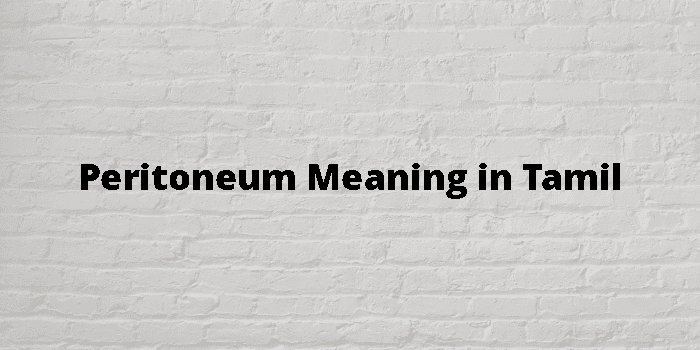Peritoneum Meaning In Tamil - தமிழ் அர்த்தம்