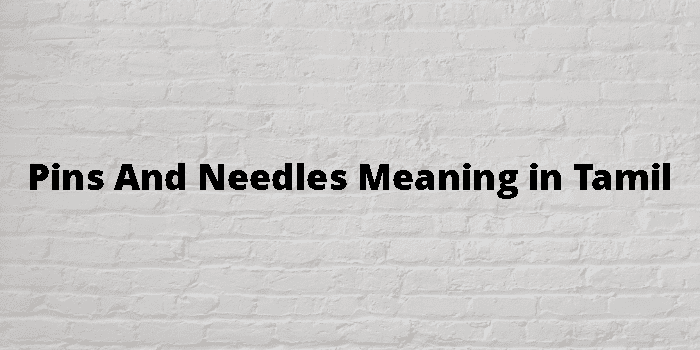 Pins And Needles Meaning In Tamil - தமிழ் அர்த்தம்