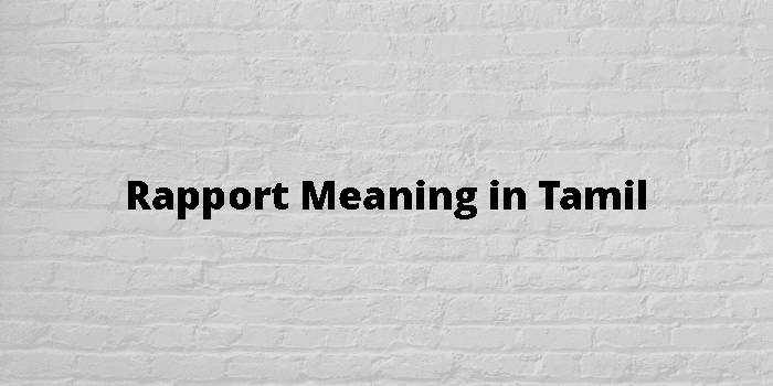 Rapport Meaning In Tamil - தமிழ் அர்த்தம்