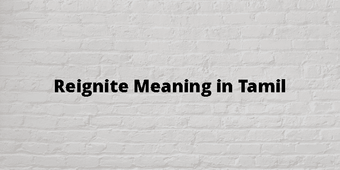 Reignite Meaning In Tamil - தமிழ் அர்த்தம்