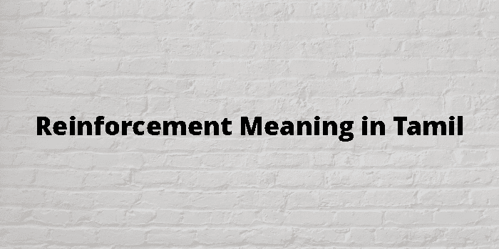 Reinforcement Meaning In Tamil - தமிழ் அர்த்தம்