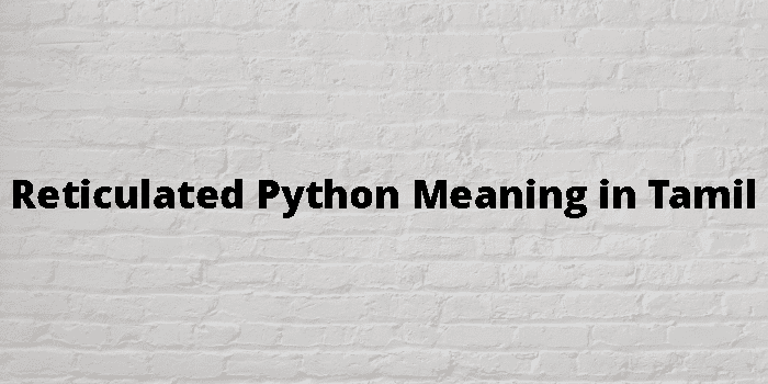 Reticulated Python Meaning In Tamil - தமிழ் அர்த்தம்
