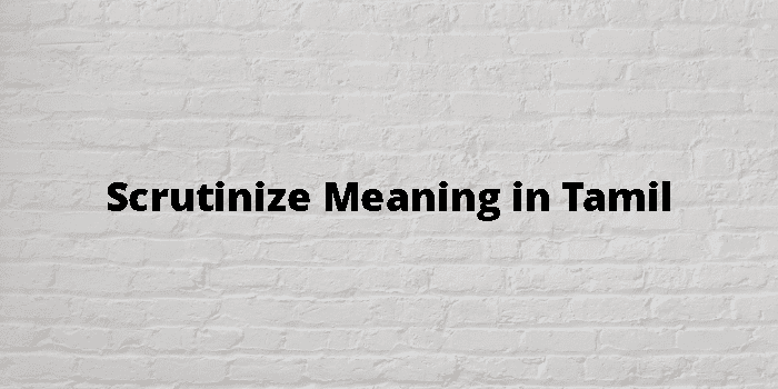 Scrutinize Meaning In Tamil - தமிழ் அர்த்தம்